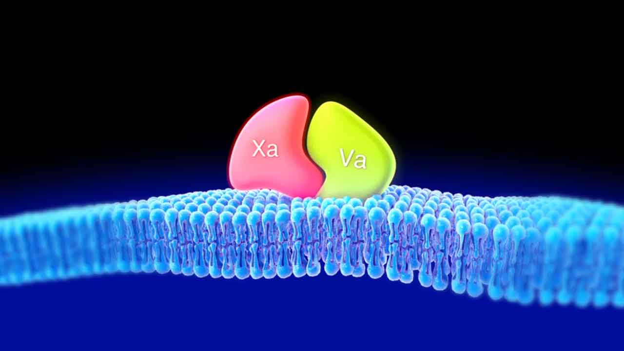Drug MOA 3D Animation | Visualizing Mechanism of Action for Pharma and ...